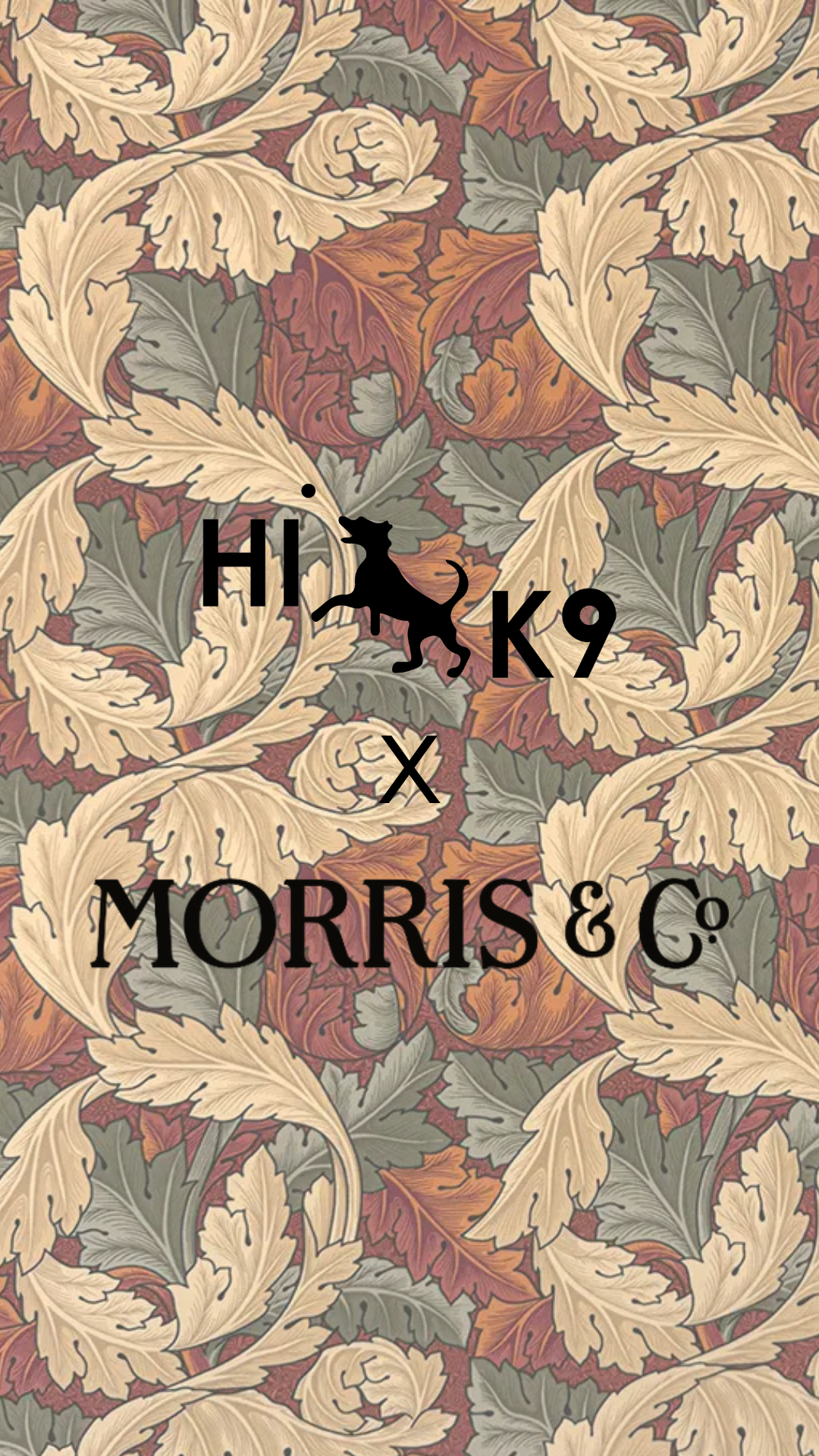 HiK9 x MORRIS & CO