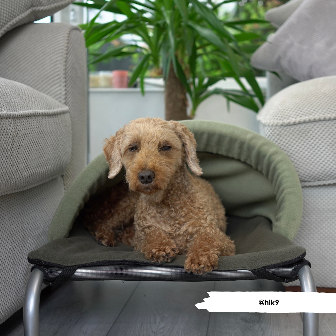 Avocado & New Olive Snuggle Tunnel – HiK9